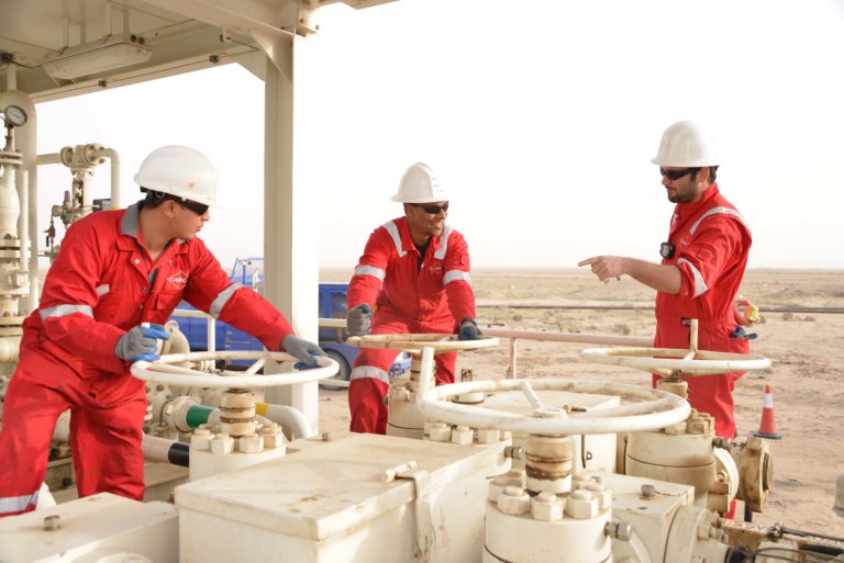 Camco Runs Workshop for Waha Oil | Edgo